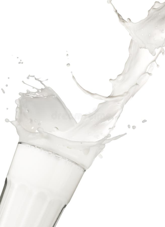 Milk splash stock photo. Image of isolated, splash, drop - 16662748