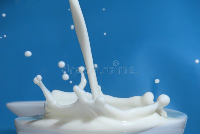 Milk Splash stock image. Image of closeup, splash, beverage - 6423909