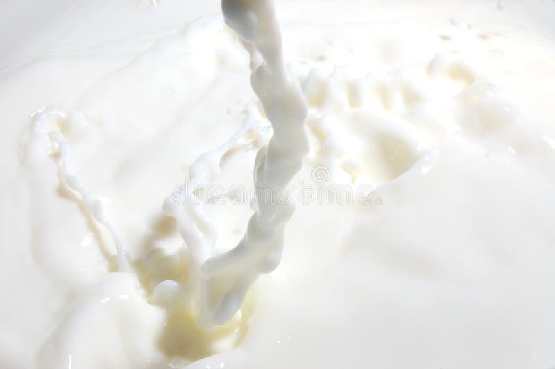 Milk Splash stock photo. Image of milk, detail, creamy, breakfast - 39986