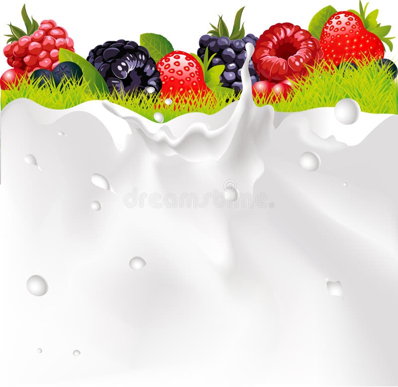 Milk Splash Background, Fruit Berries and Green Grass Stock Vector ...