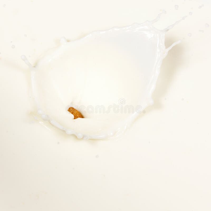 Milk Splash with a biscuit stock photo. Image of refresh - 47501238