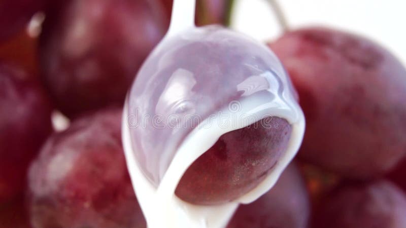 Bunch of Milk Fish on a Tiles Table Lay on Display for Sale Fish Market ...