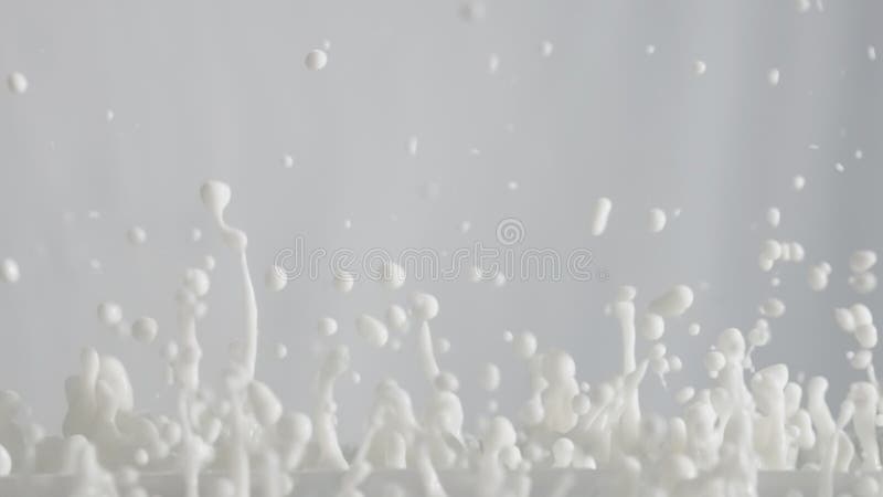 Milk Splash, Milk Splash Milk Drop in Slow Motion Stock Photo - Image ...