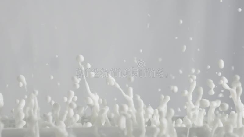 Milk Splash, Milk Splash Milk Drop in Slow Motion Stock Video - Video ...