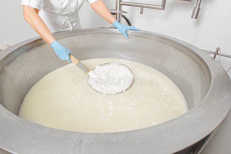 Hands Work on Cheese Production Stock Image - Image of equipment ...