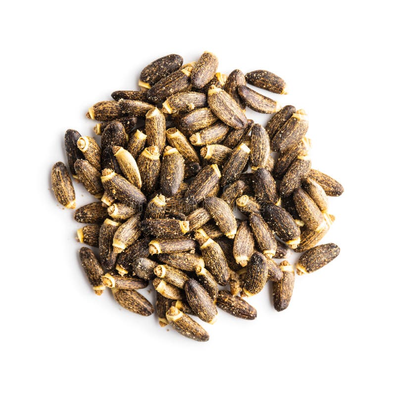 Thistle Seeds in the Evening Sun Stock Photo - Image of garden ...