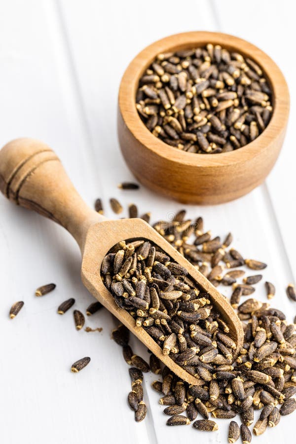 Milk thistle seeds stock photo. Image of diet, food - 174707856