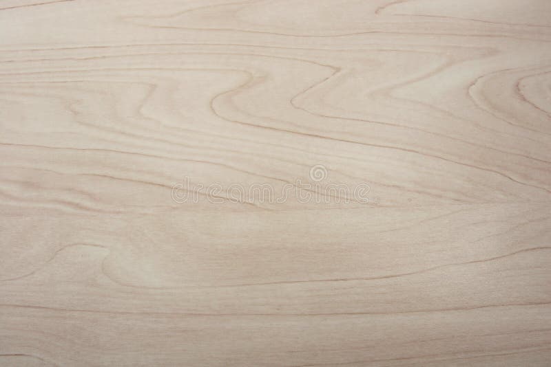 Milked Birch Wood Grain Texture Stock Photo - Image of horizontal, tree ...