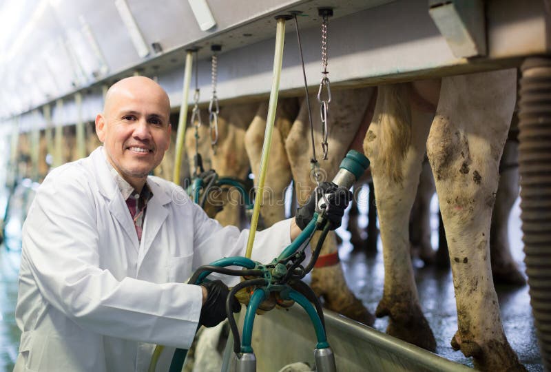 Milker Operating Machine Milking Stock Image - Image of mature ...