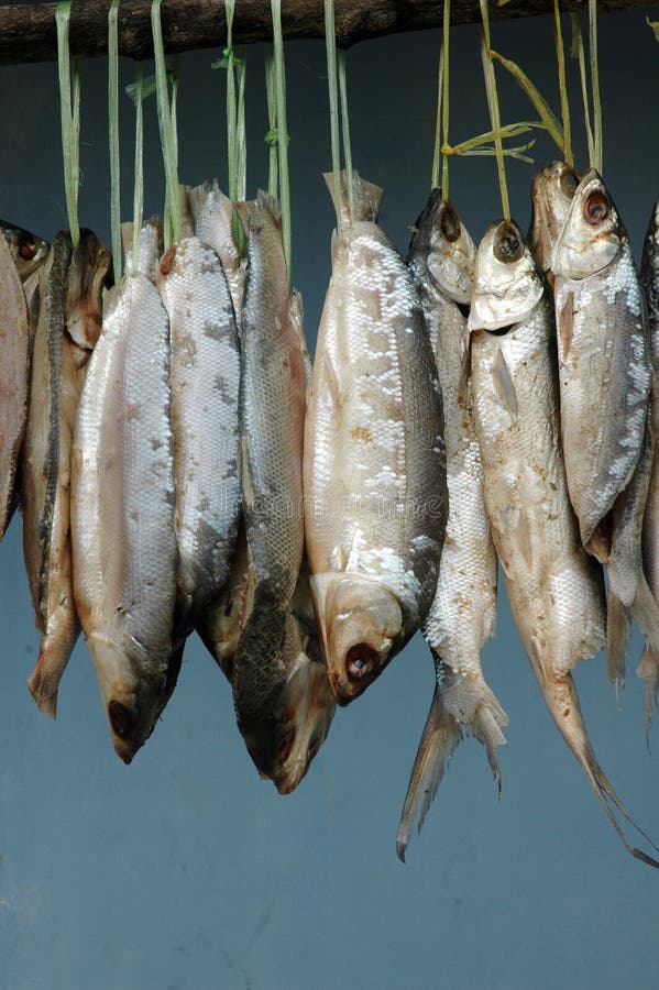 Milkfish stock image. Image of food, eating, fish, cooking - 29421591