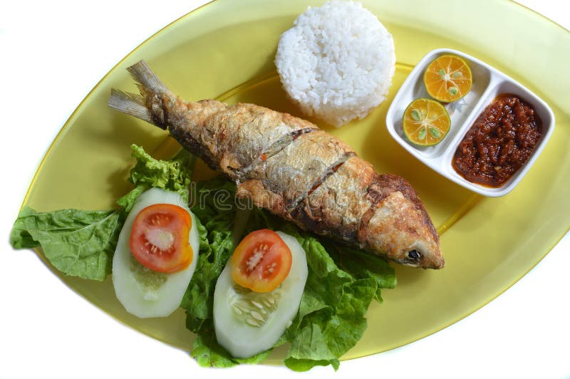 Milkfish fry stock photo. Image of dinner, lunch, fish - 34445742