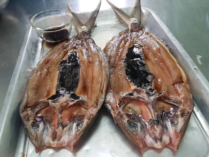 Milkfish stock image. Image of animal, cuisine, closeup - 156313783