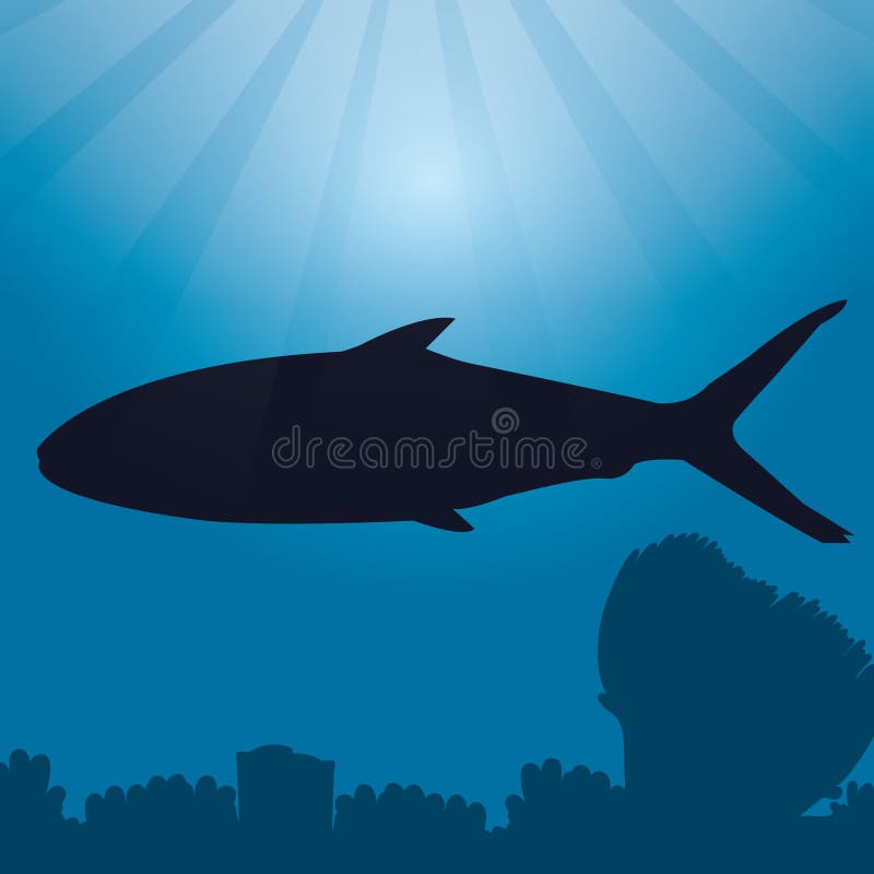 Milkfish Stock Illustrations – 71 Milkfish Stock Illustrations, Vectors ...