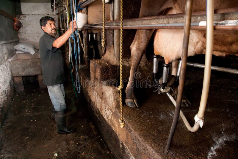 Milking Machine stock photo. Image of liner, america - 16058596