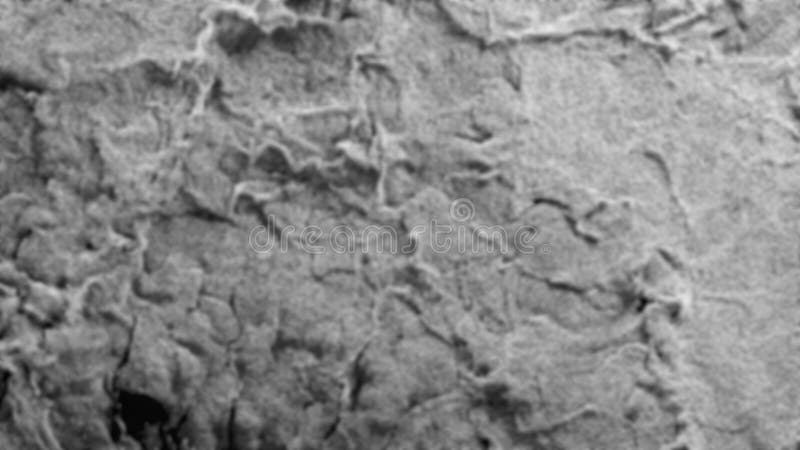 Milky and Blurry Fluidish Texture Filling the Screen with Many Small ...