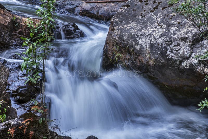 Water Flowing through the Rocky River Stream in the Forest. Stock Photo ...