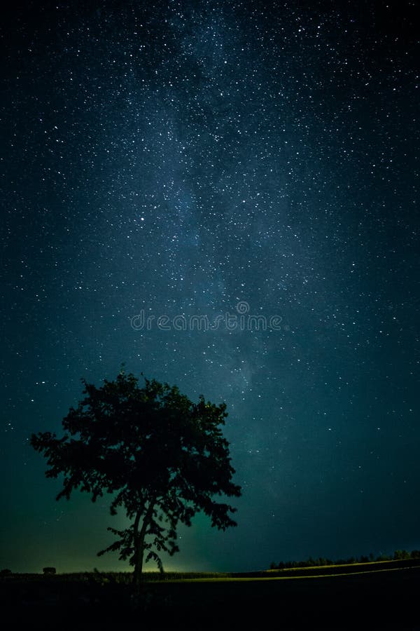 The Milky Way Above a Lone Tree Stock Photo - Image of view, milkyway ...