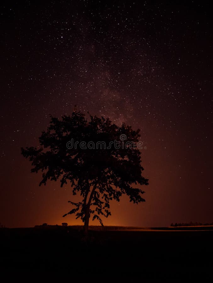 The Milky Way Above a Lone Tree Stock Image - Image of country ...