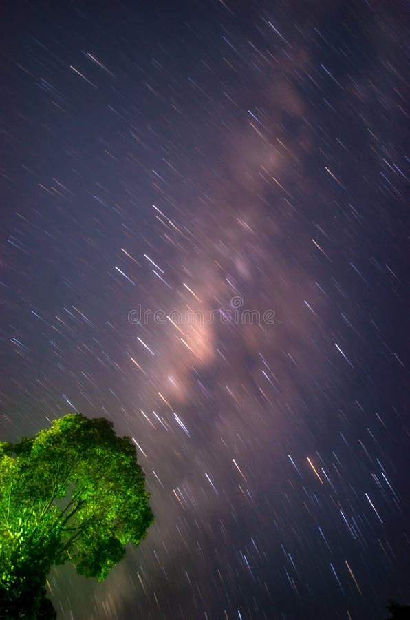 Milky Way Above the Tree and the Movement of the Stars. Stock Image ...
