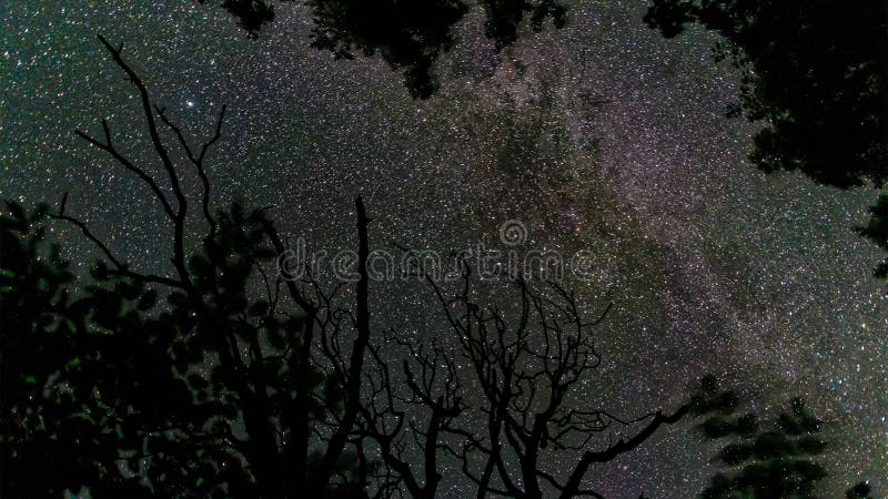 Milky way galaxy stock photo. Image of milkey, astrophotography - 51760818