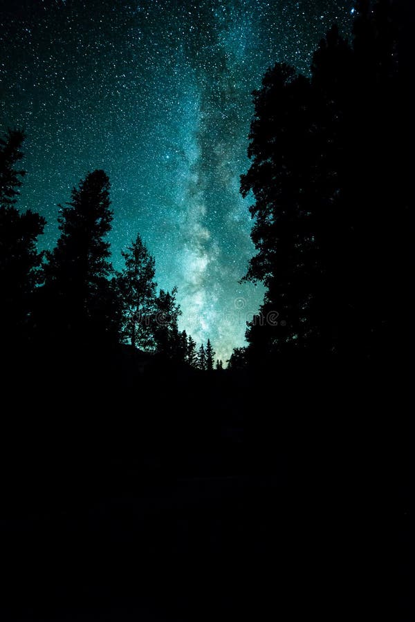 Milky Way Galaxy Over Trees Stock Image - Image of skies, star: 62714695