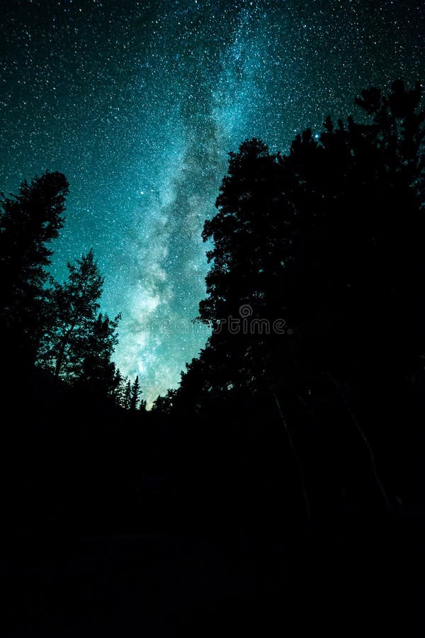 Milky Way Galaxy Over Trees Stock Image - Image of tree, night: 62714739