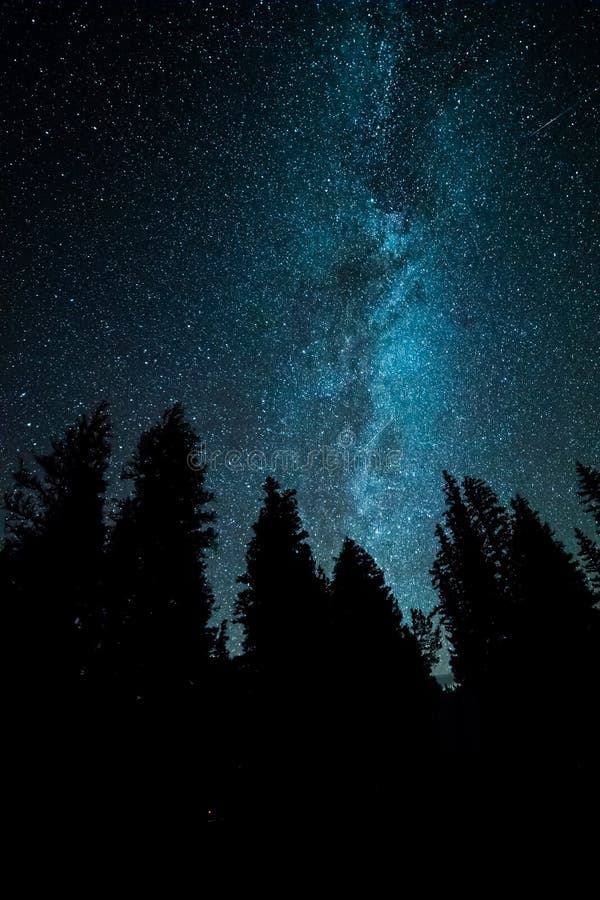 Milky Way Galaxy Over Trees Stock Photo - Image of great, galaxy: 62714768