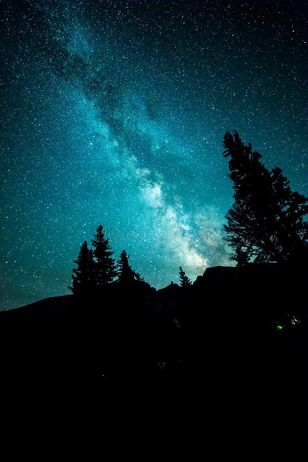 Milky Way Galaxy Over Trees Stock Photo - Image of nevada, night: 62714794