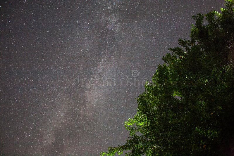 Milky way stock image. Image of night, tree, milkyway - 89243591