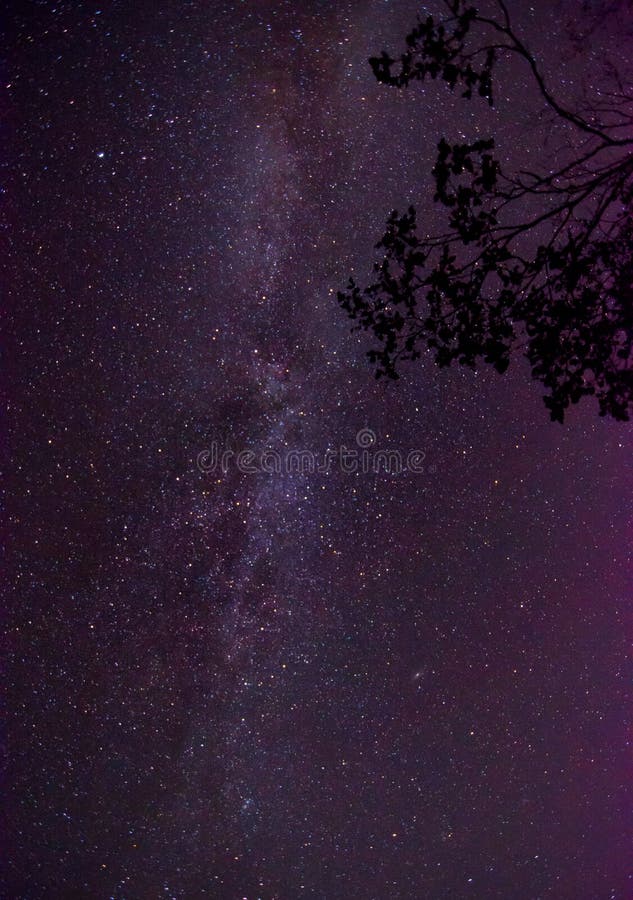 Milky Way Night Under a Tree Stock Image - Image of light ...