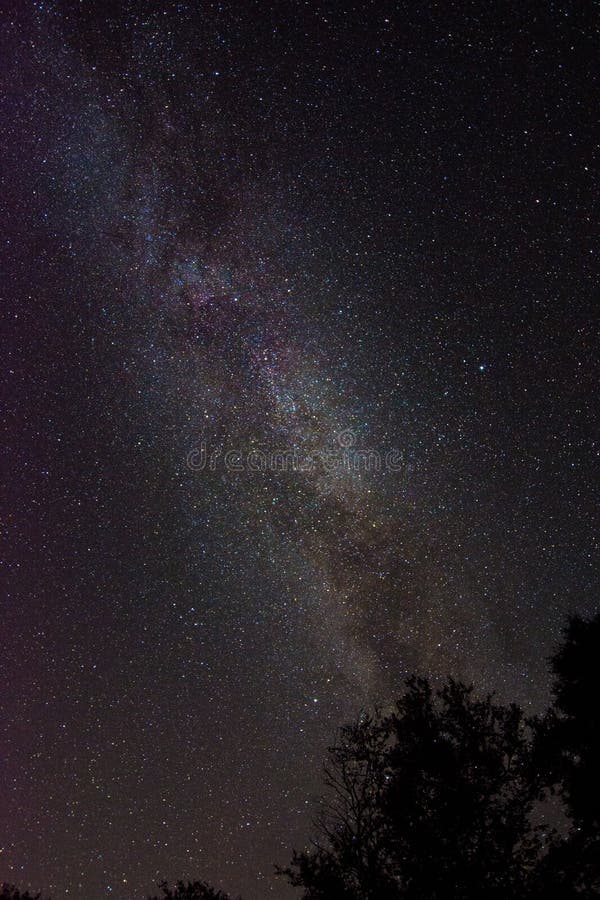 Milky Way Night Under a Tree Stock Photo - Image of astronomy, galaxy ...