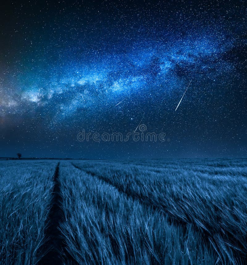 Milky Way Over Field with Wheat at Night in Summer Stock Image - Image ...