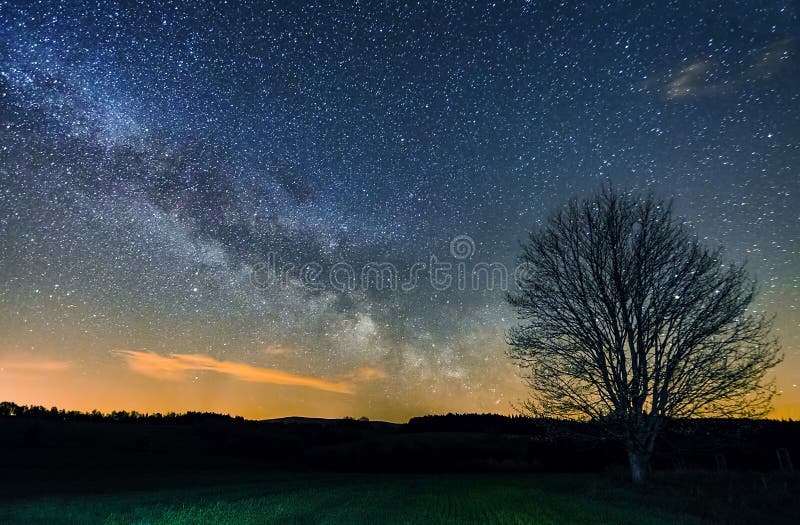 Milky Way Over the Solitary Tree Stock Image - Image of night, nebula ...