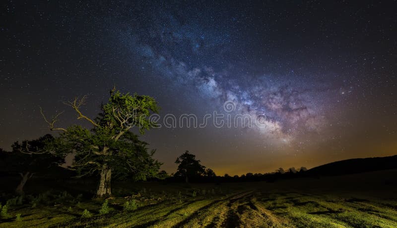 Milky Way over a tree stock photo. Image of magenta, orange - 67289230