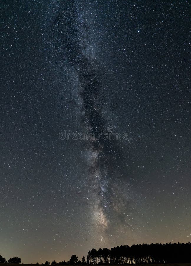 Milky Way Over the Tree Forest Silhouette, Vertical Composition Stock ...