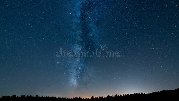 Milky Way Skyline Over the Tree Tops Stock Photo - Image of infinite ...