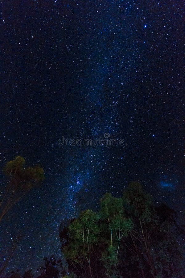 Milky Way over Trees stock image. Image of milky, galaxy - 70588141