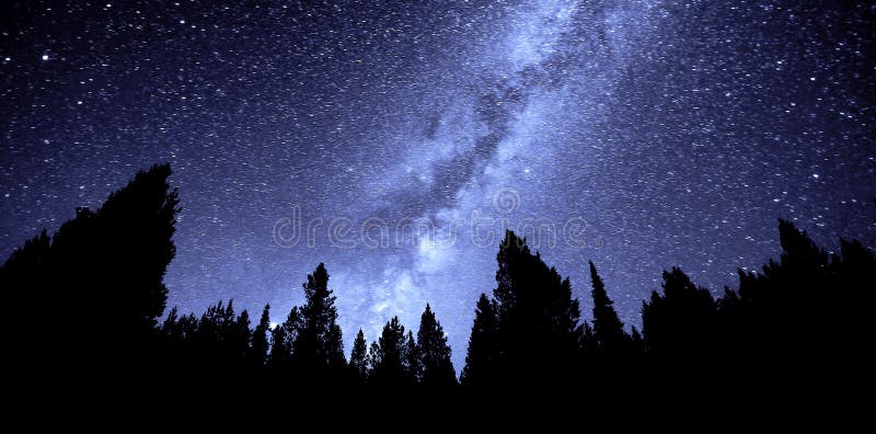 Milky Way Sky Forest at Night Time Stars Stock Photo - Image of park ...
