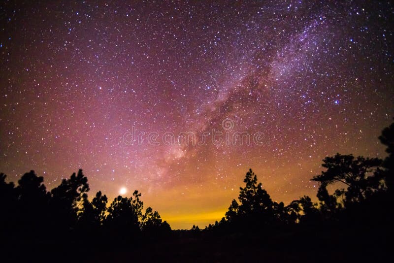 Milky Way and some trees stock photo. Image of galaxy - 81133864