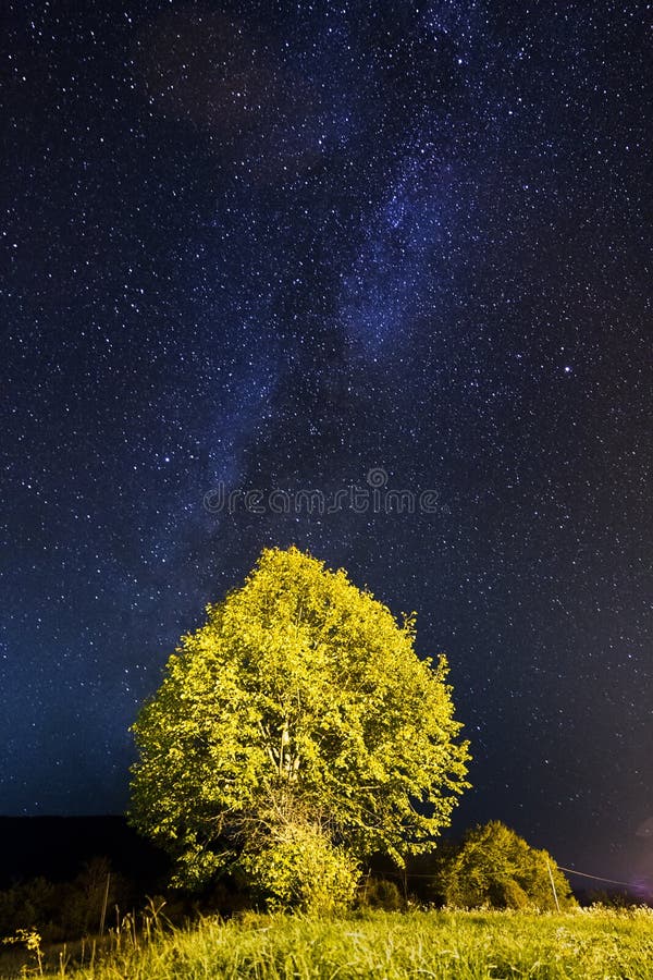 Milky way tree stock image. Image of croatia, scenery - 29230687