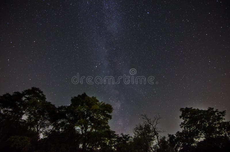 Milky way and trees stock image. Image of glow, astronomy - 139004911