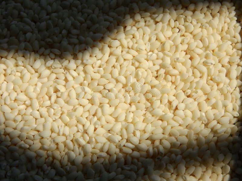 Light and rice stock photo. Image of detail, flowers - 146345618