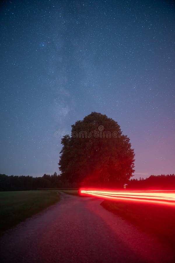Milkyway Over a Tree with Red Light Trails of a Bike at a Starry Night ...