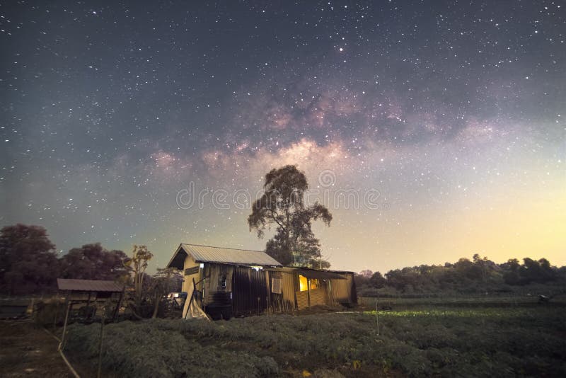 Milkyway and the Vegetables Farm Stock Photo - Image of galaxy, milkyway: 251475086