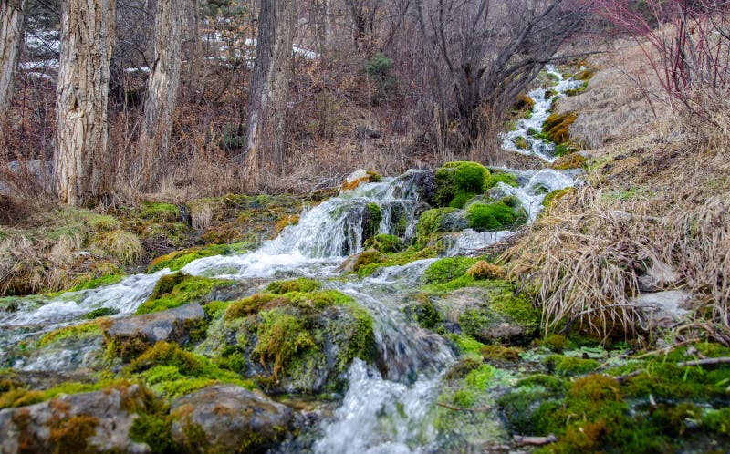 Mill Canyon Spring in Springtime. Utah Stock Image - Image of clear ...