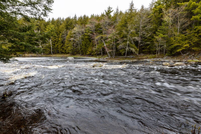 Mill Falls and River in Nova Scotia Canada Stock Photo - Image of wild ...