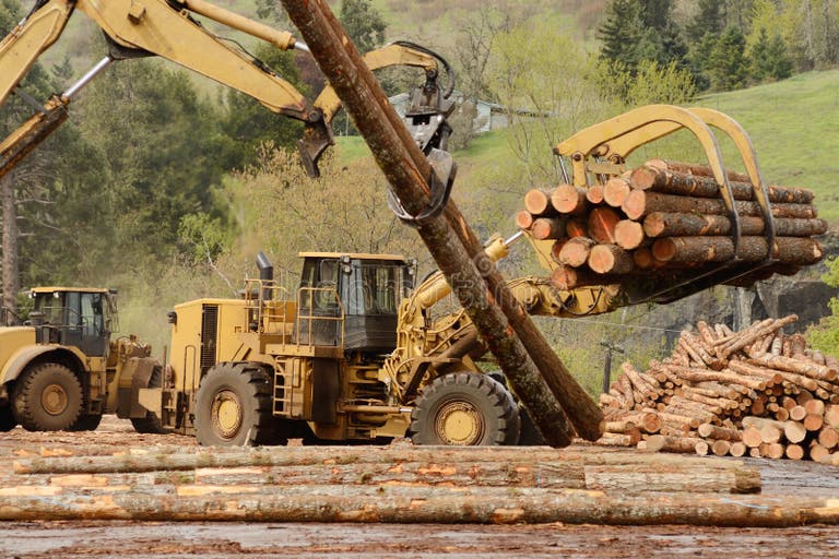 Mill Ops stock image. Image of vehicle, pile, forestry - 31974967