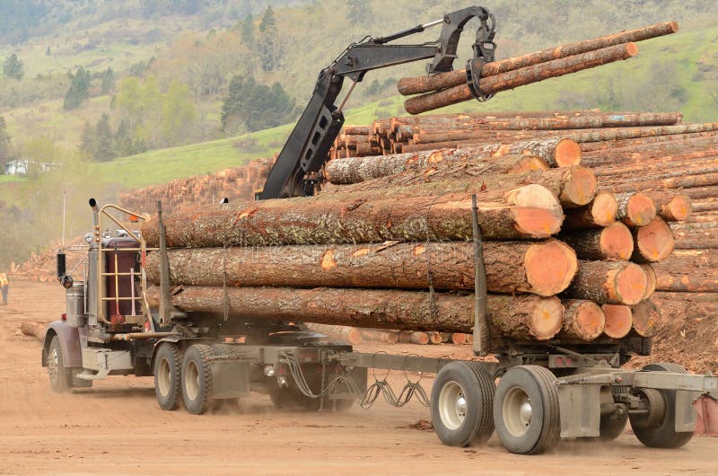 Logging truck logs at mill stock image. Image of trees - 32817811