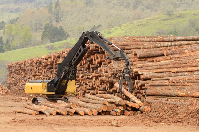 Pulp and Paper Wood stock photo. Image of deforestation - 17831592