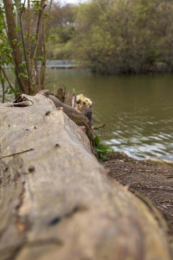 Mill Pond on an Early Spring Day Stock Image - Image of spring, water ...